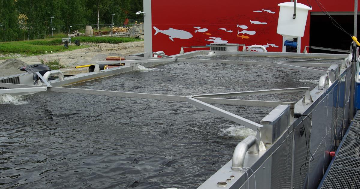 From a container into a concept – the PaRAS method resolves challenges ...