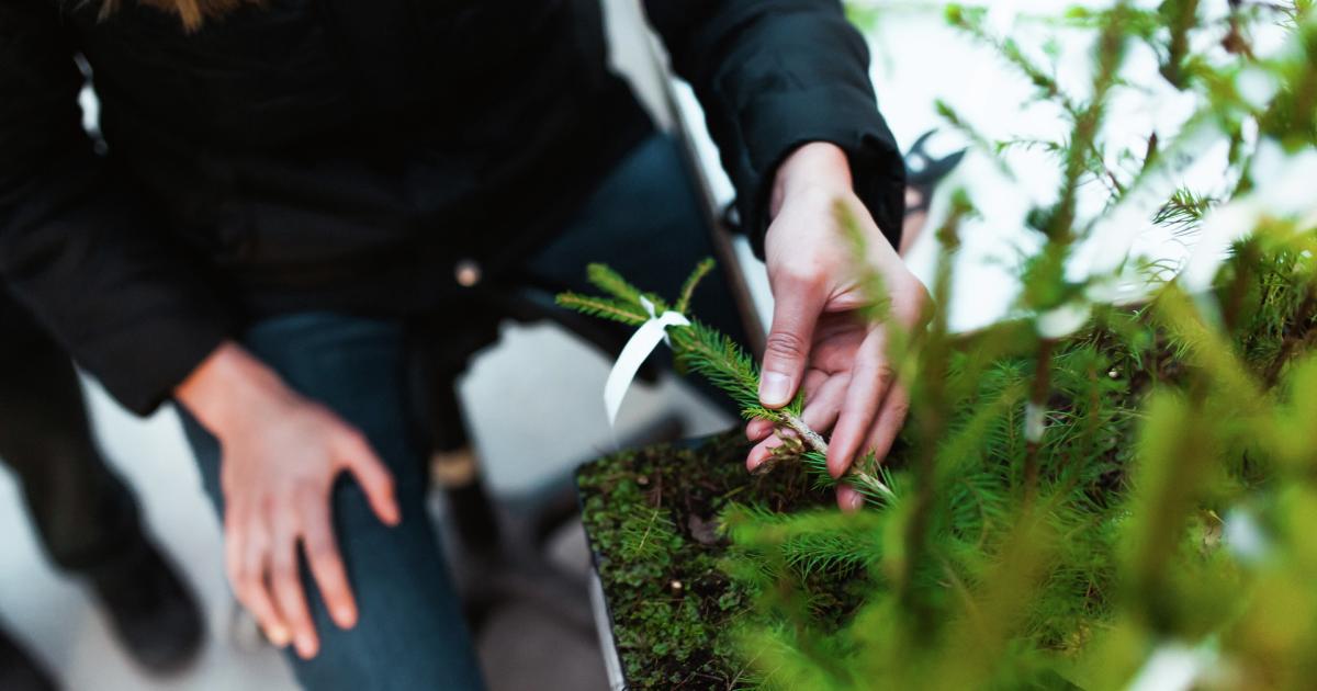 Access to controlled growth chambers | Natural Resources Institute Finland