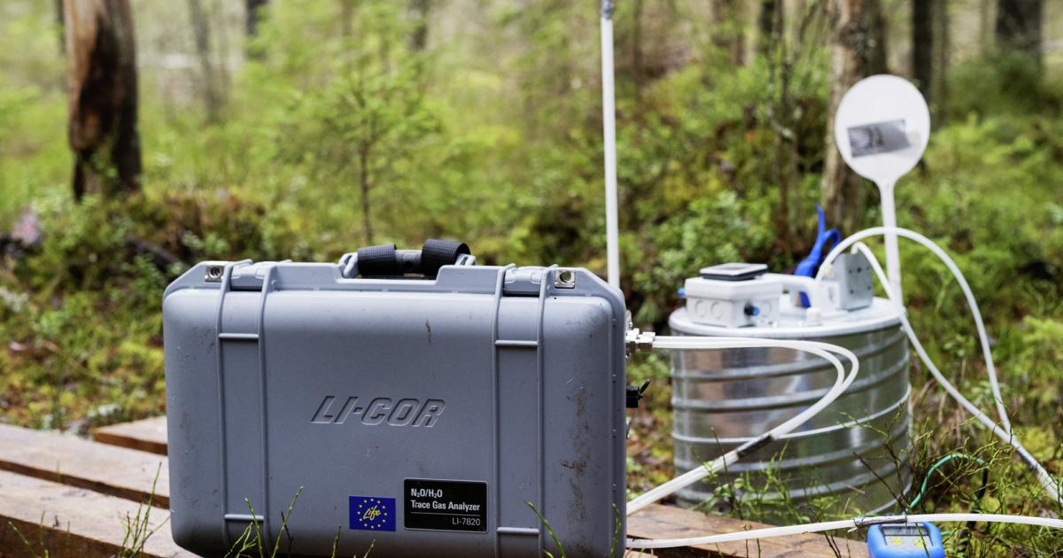 Access to forest monitoring | Natural Resources Institute Finland