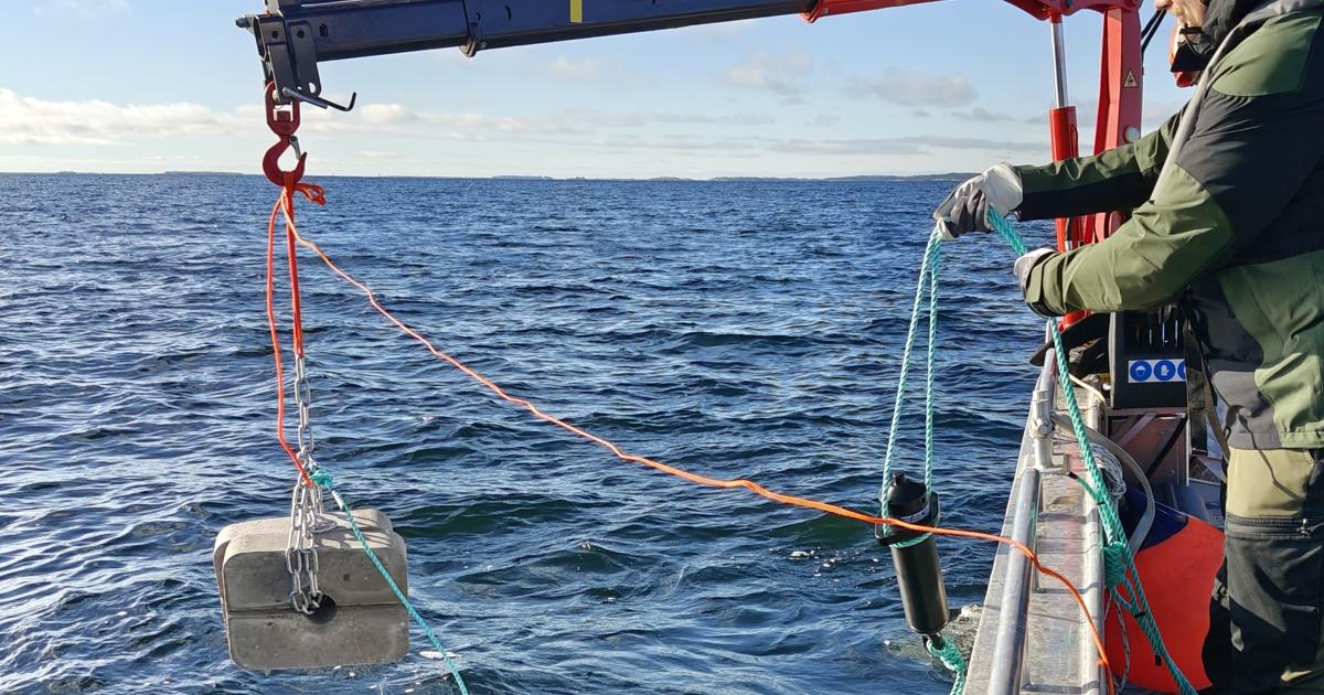 Kalojen vaellusten seuranta mullistuu Pohjanlahdella - vaelluksia ...