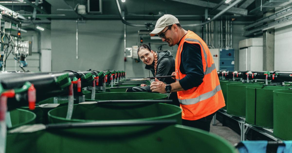 Luke is looking for more than 100 trainees and seasonal employees ...
